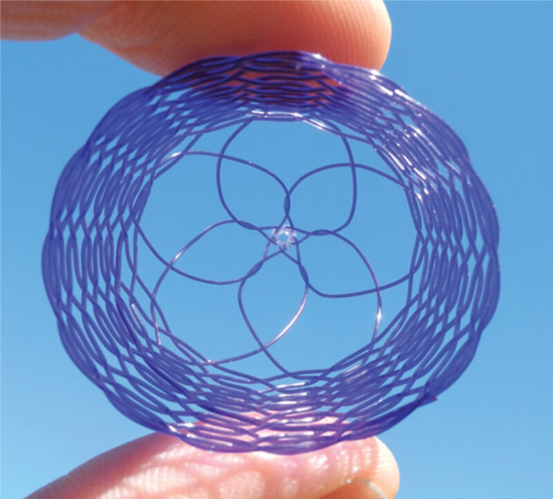 Adient Medical - Home - Absorbable Vascular Filter